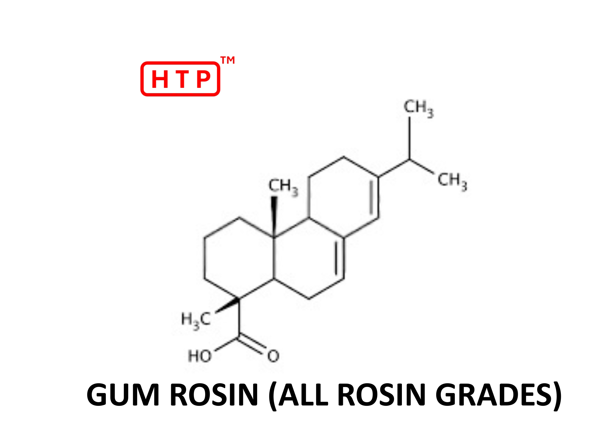 Gum Rosin – Natural Resin for Adhesives, Coatings & Rubber